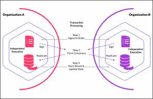 Types of Decentralization - A Complete Guide | Shardeum