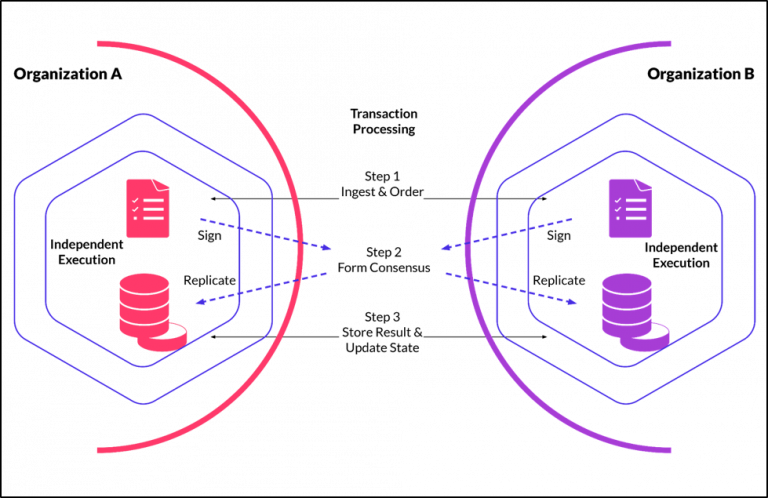 Types of Decentralization - A Complete Guide | Shardeum