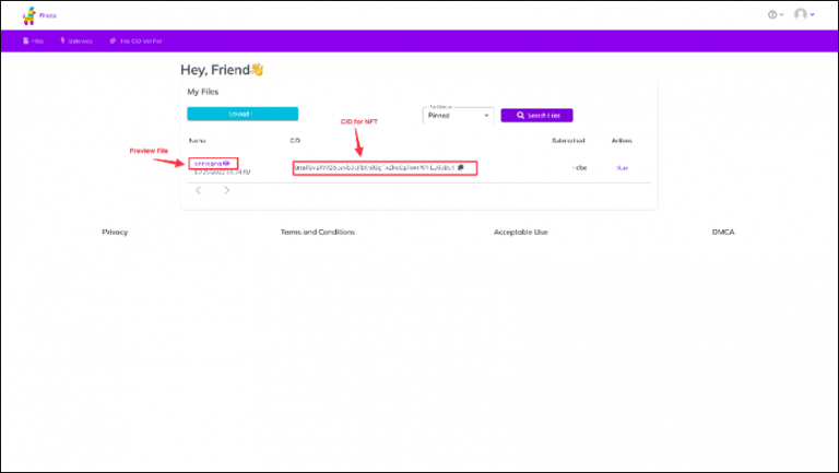 Rewards of Combining Pinatas and IPFS for Secure and Scalable Data Storage