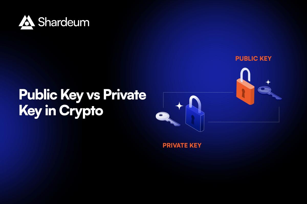 Difference Between Public Key Vs Private Key in Blockchain or Crypto | Shardeum