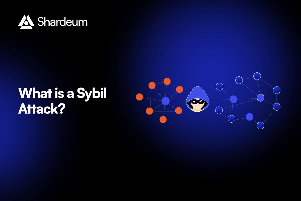 Sybil Attack in Blockchain - Types, Examples and Threats | Shardeum