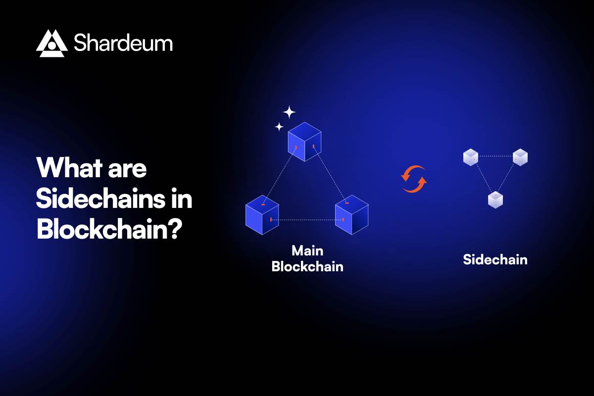 What are Sidechains? - A Detailed Guide | Shardeum