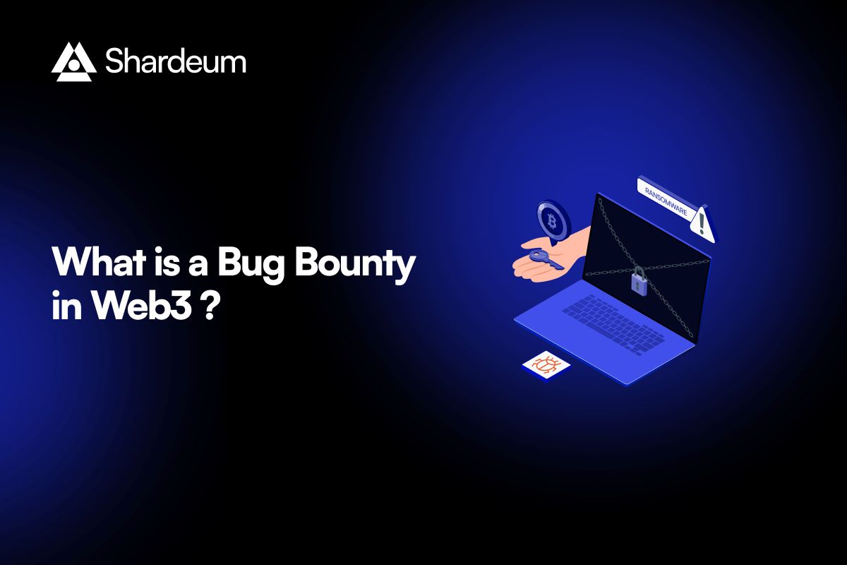 What is a Web3 Bug Bounty? | Shardeum