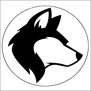 What is NodeGUI? | Shardeum